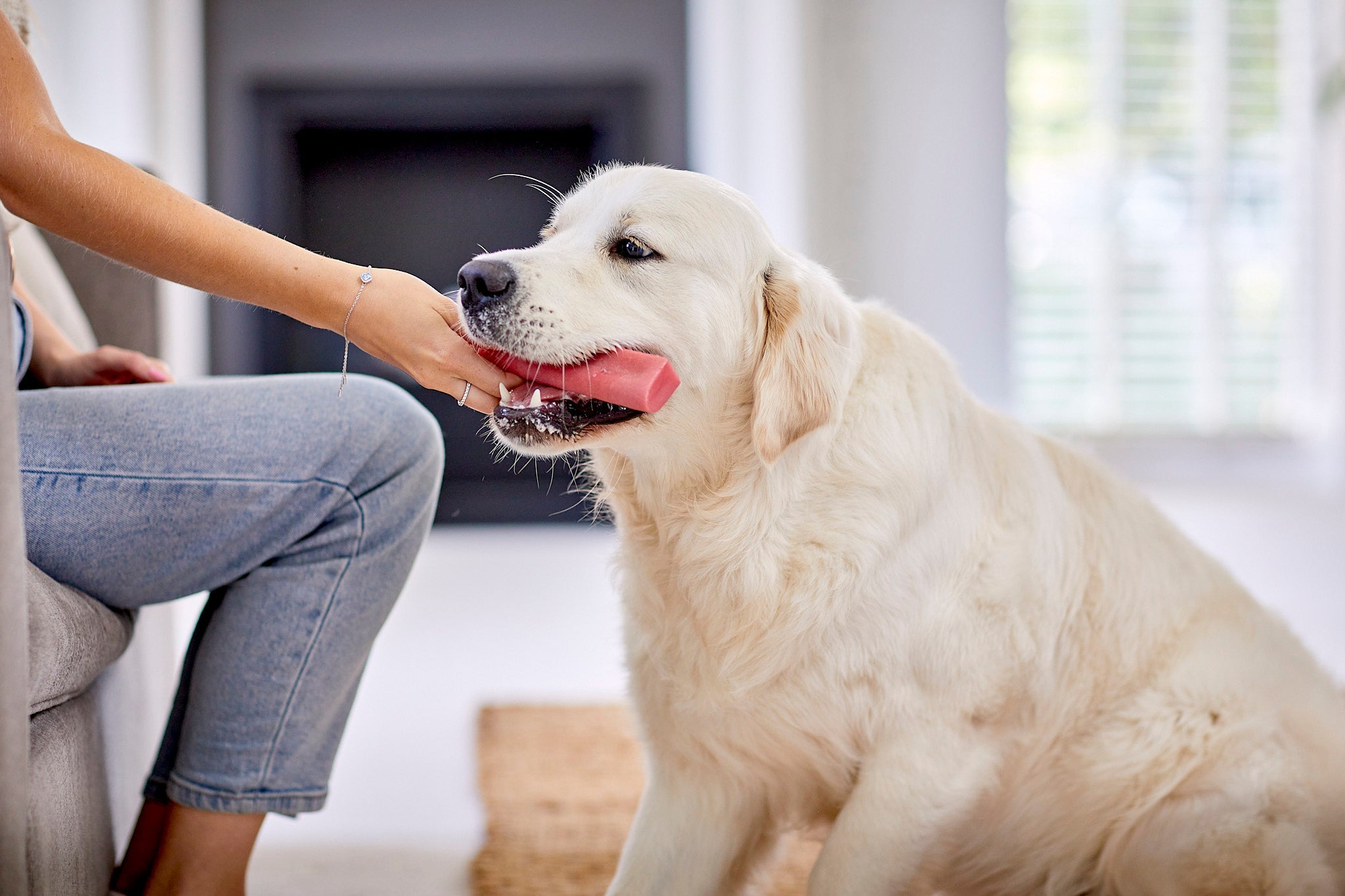 YAKERS Himalayan Yak Chews: The Perfect Occupier Chew for Dogs – YAKERS