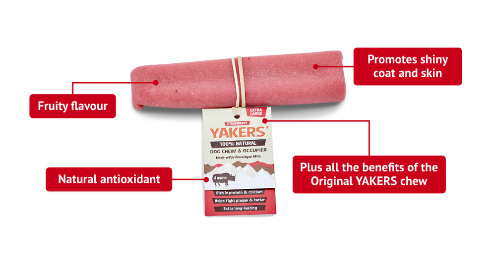 YAKERS Strawberry Dog Chew – YAKERS