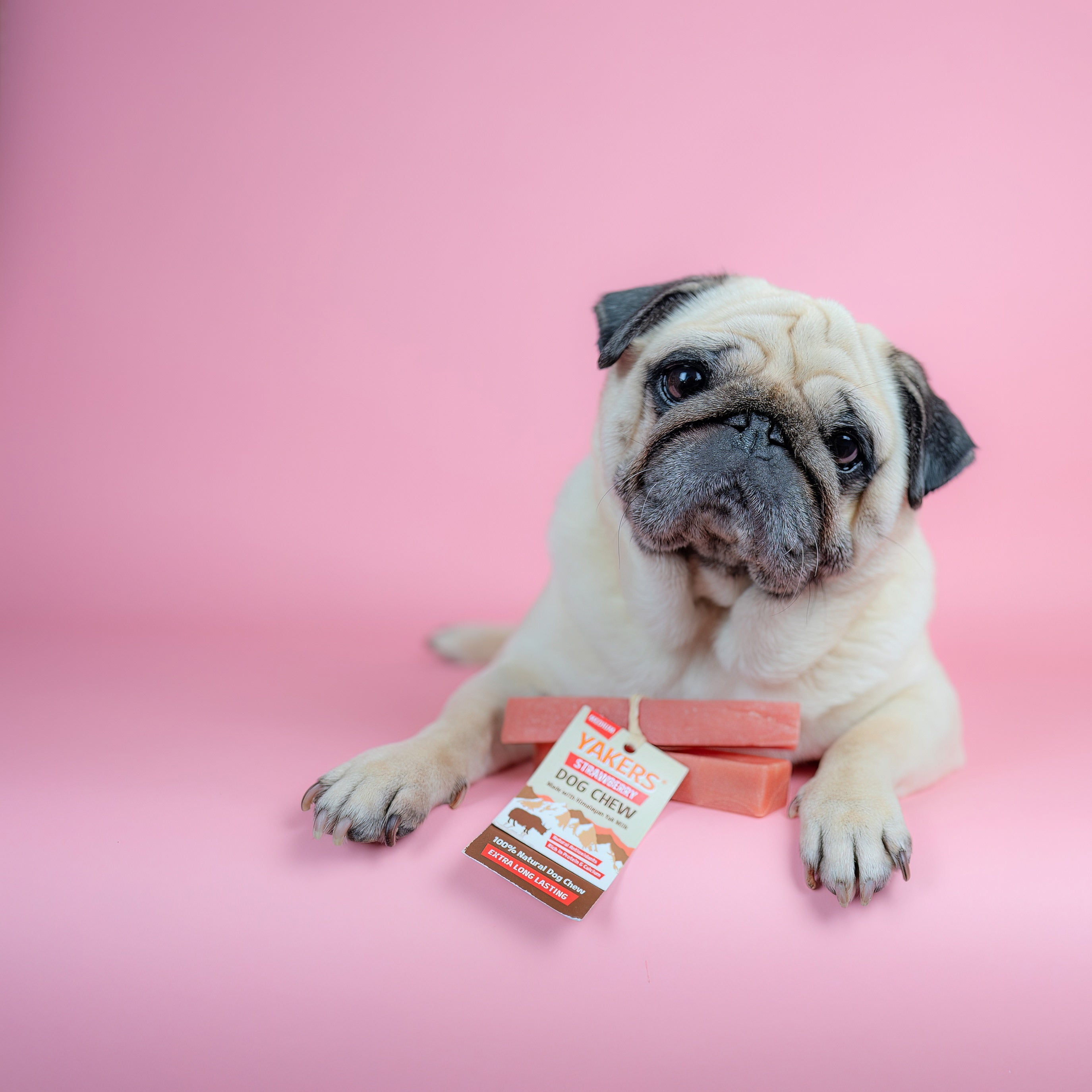 YAKERS: 100% natural dog chews and snacks – YAKERS